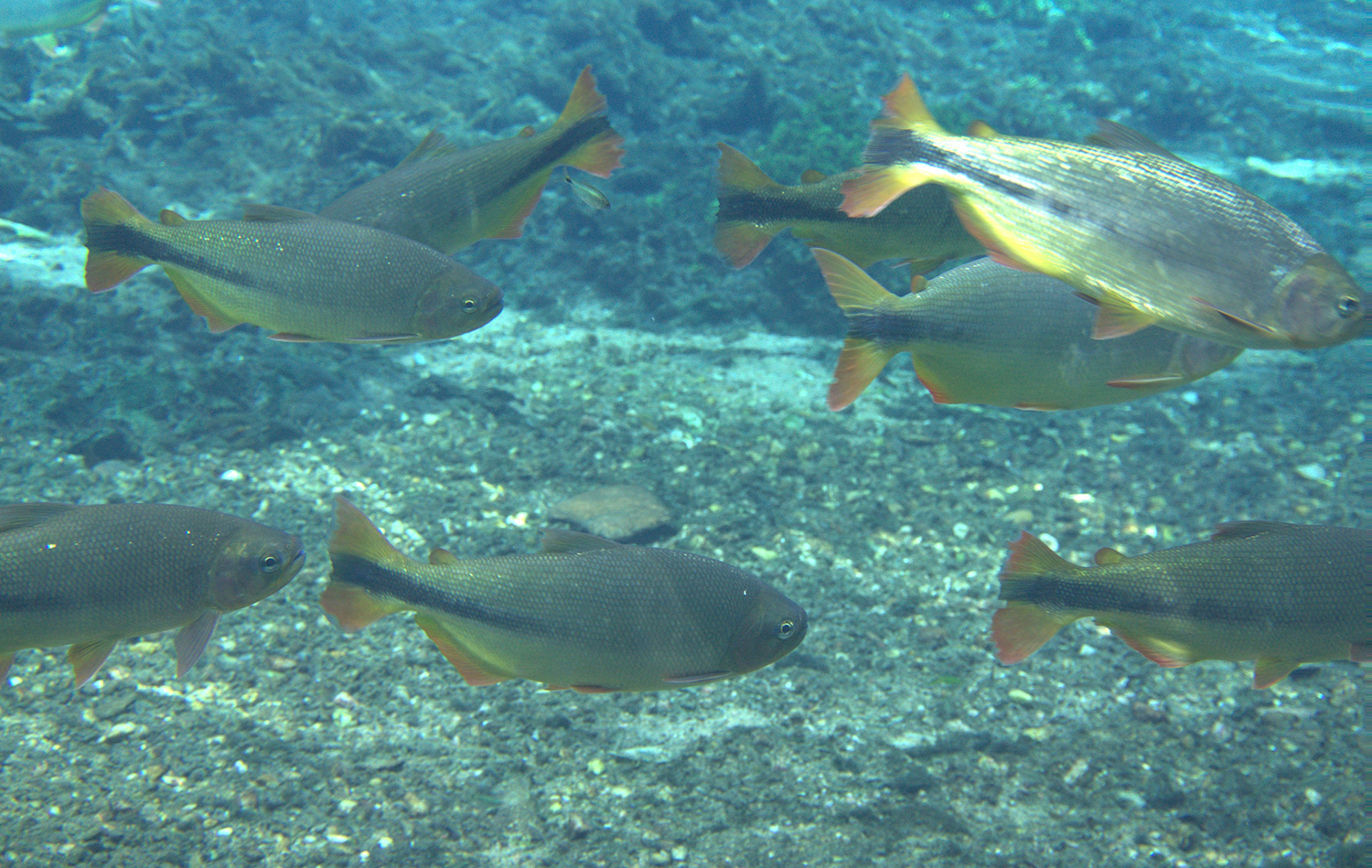 An Unexpected Brazil Revealed During AdventureWeek | Adventure Travel News